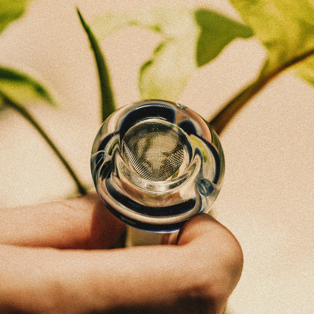 Randy’s® | 812" Stainless Steel Screens – Jar of 20 (36 Jars / 720 Scr