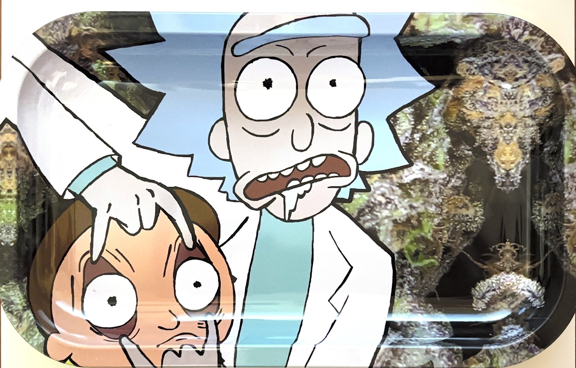 SC Rick and Morty Drool Medium rolling tray